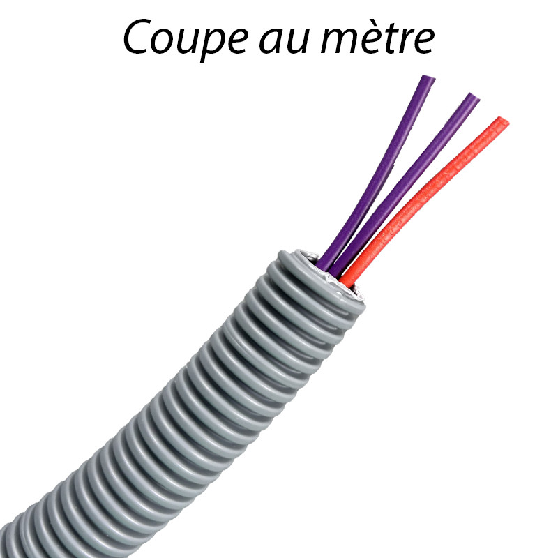 Gaine électrique ICTA16mm avec 2 fils violet & 1 rouge